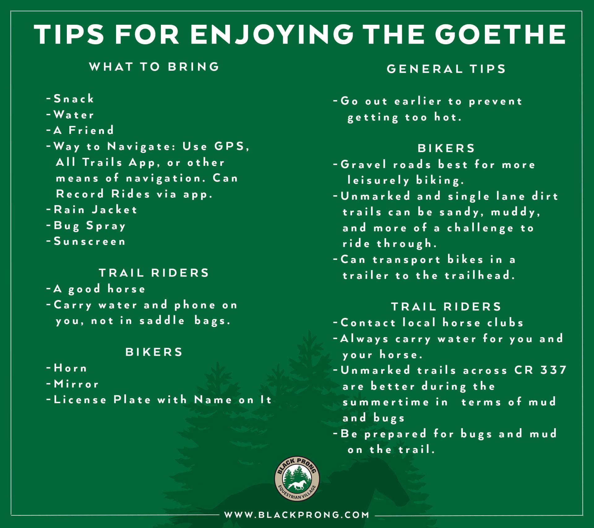 The Goethe State Forest: A Treasure of Florida's Nature Coast - Black Prong