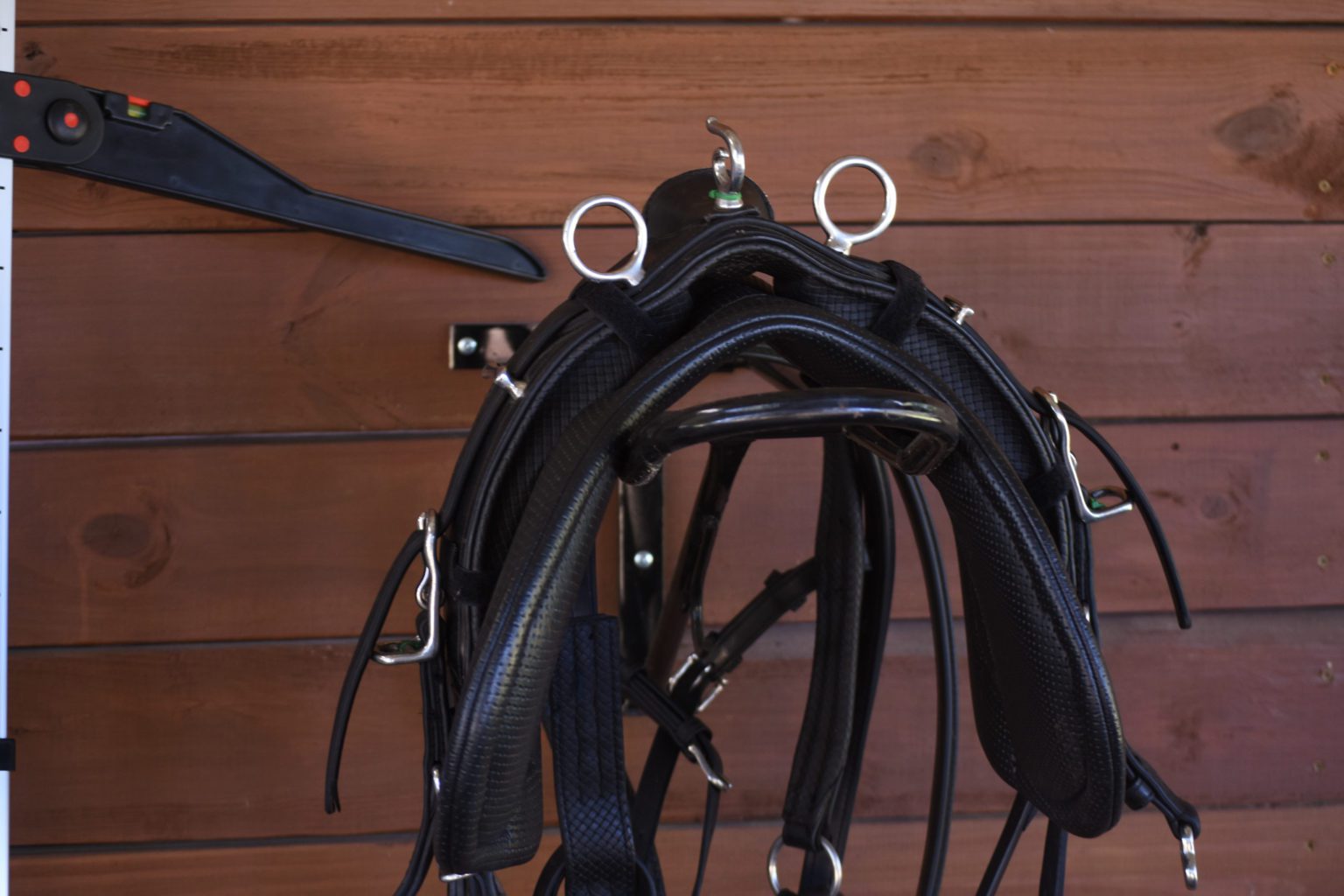 What to Pack in your Horse’s Suitcase? - Black Prong