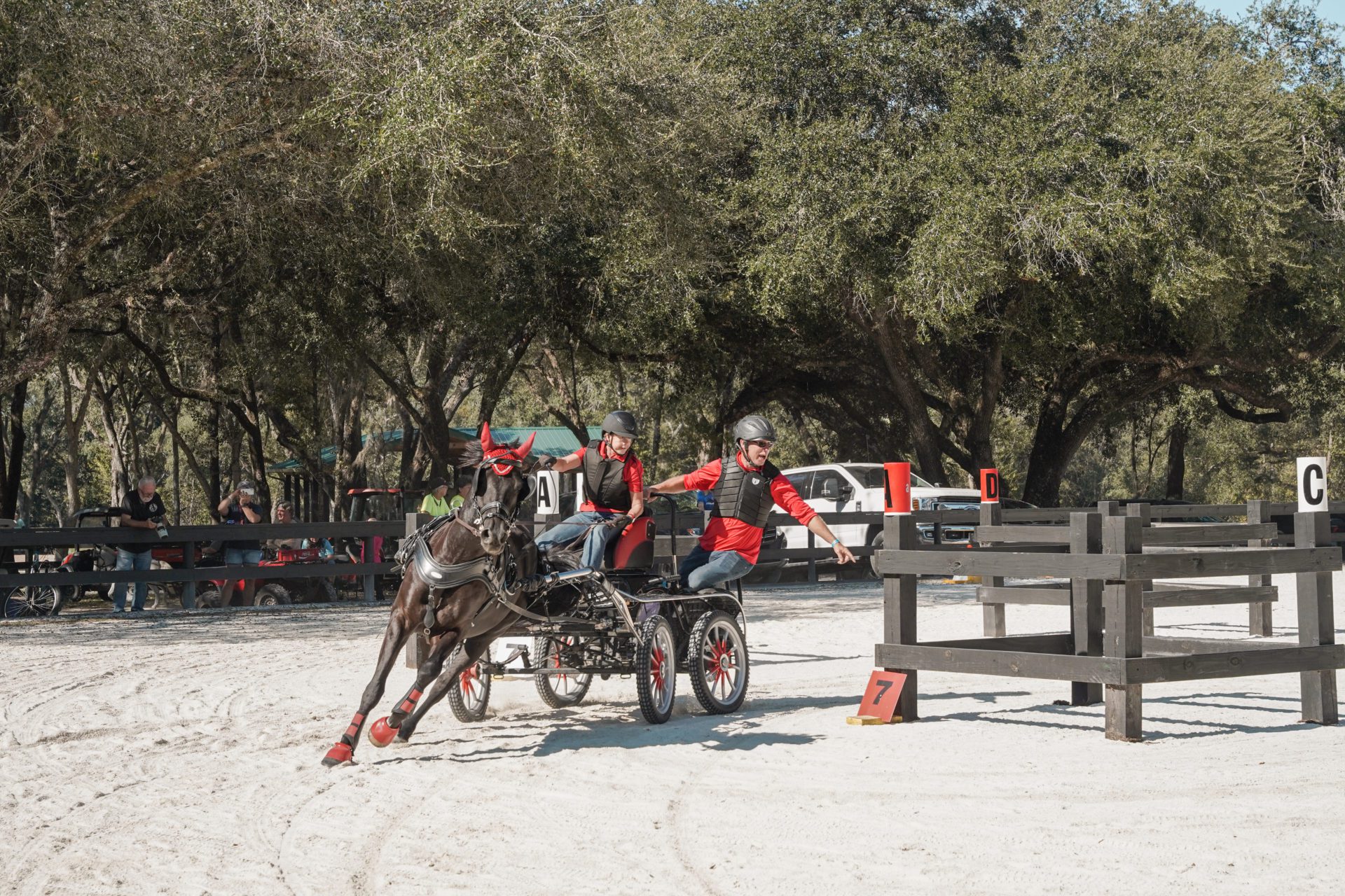 The Youth Carriage Driving Movement - Black Prong