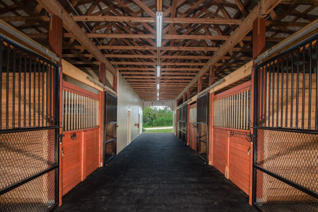 Stay at Black Prong | Black Prong