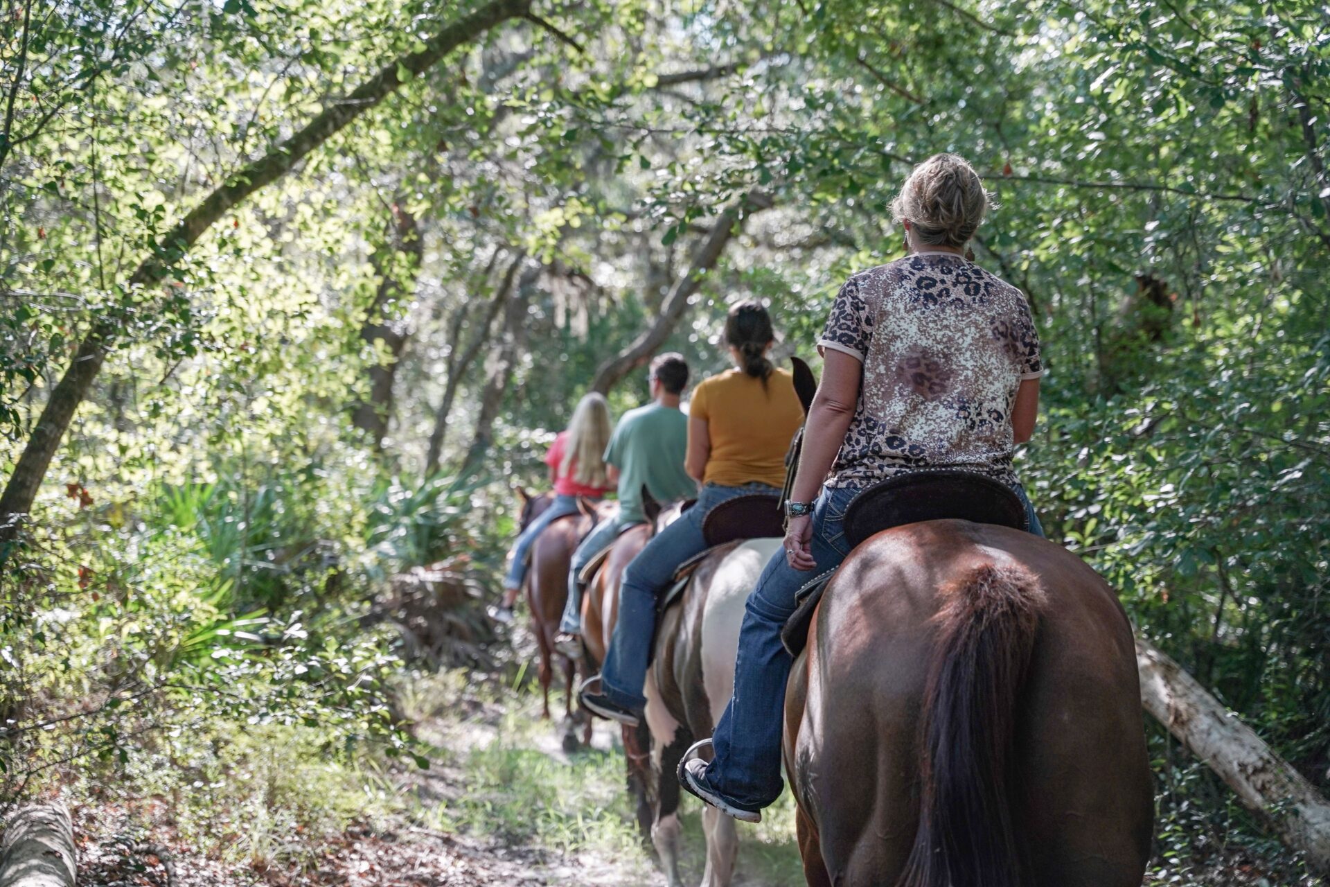 Trail Ride the Goethe State Forest | Black Prong