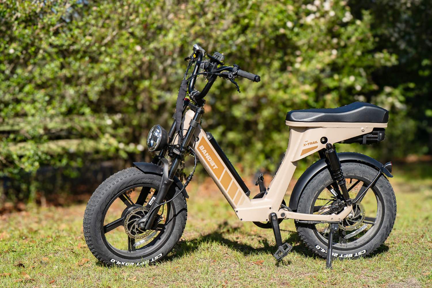 Biking the Goethe Forest | Black Prong